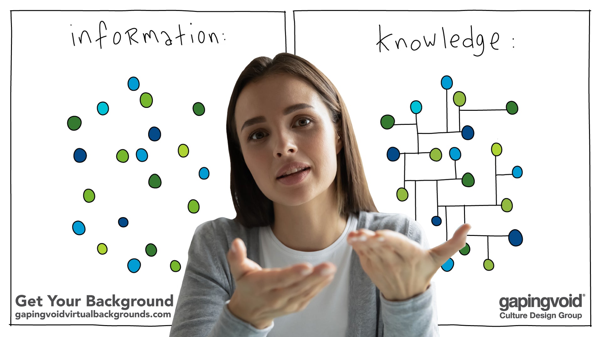 Information Knowledge – Gapingvoid Virtual Backgrounds